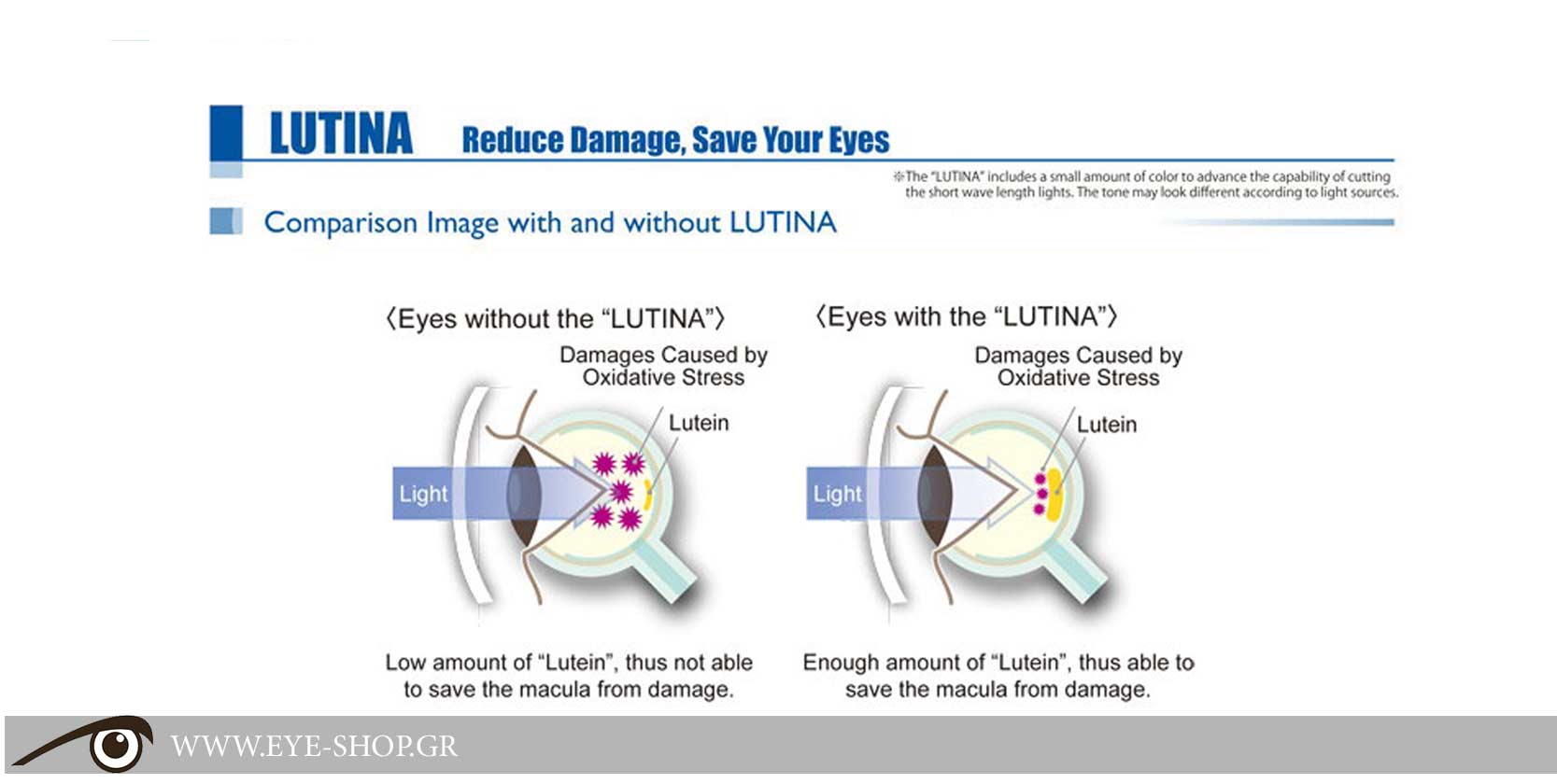 SUNGLASSES Authentic Designer - Eye-Shop